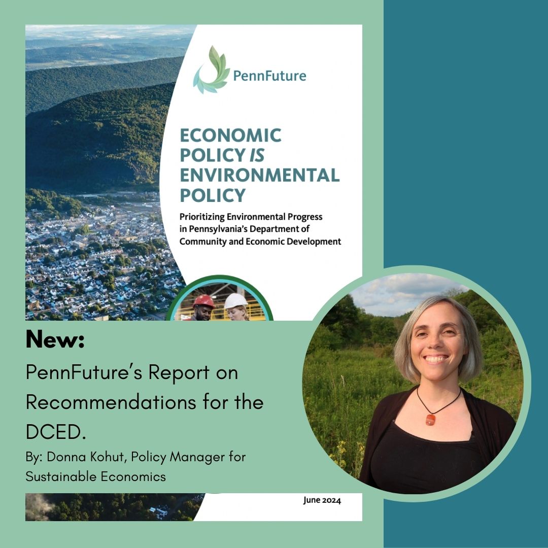 The Unspoken Truth: Economic Policy is Environmental Policy