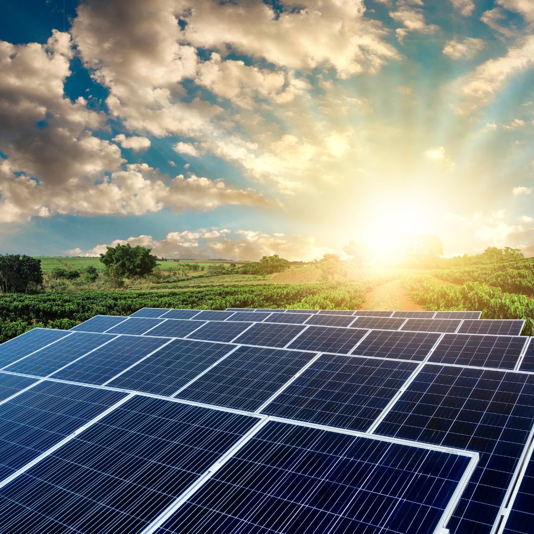 Riparian Buffers: a Natural, Inexpensive, and Crucial Way to Protect ...